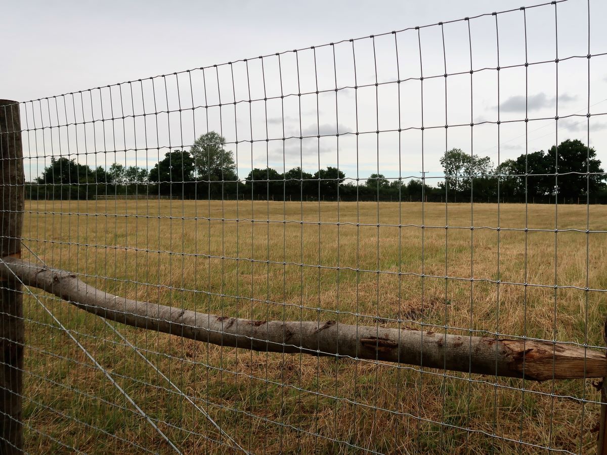 Find out what's happening at Slamseys Farm, Essex.