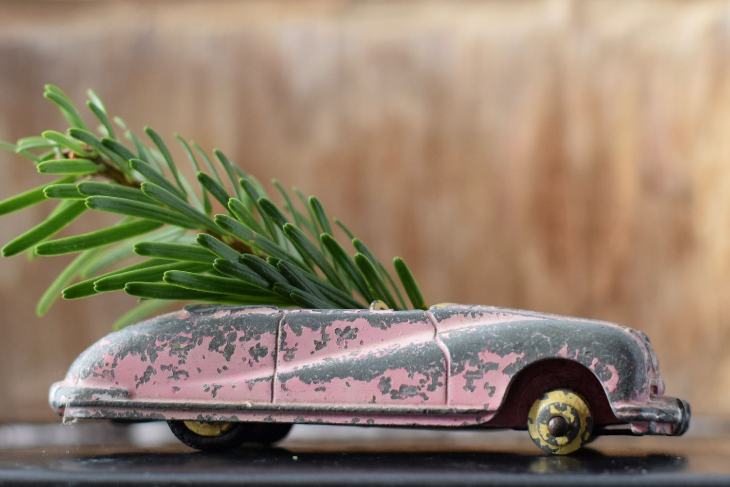 How to carry home your Christmas Tree safely