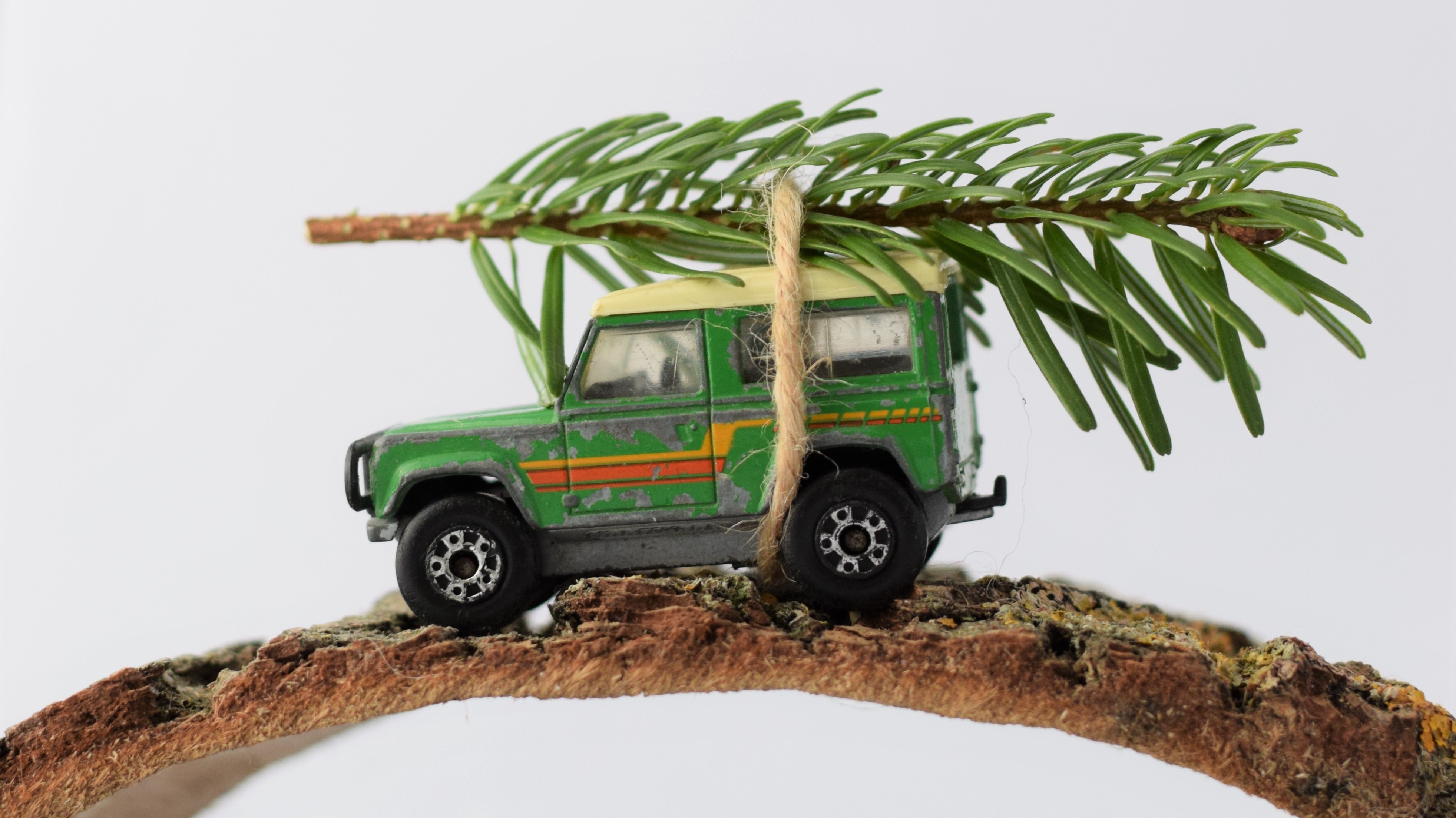 How to carry home your Christmas Tree safely
